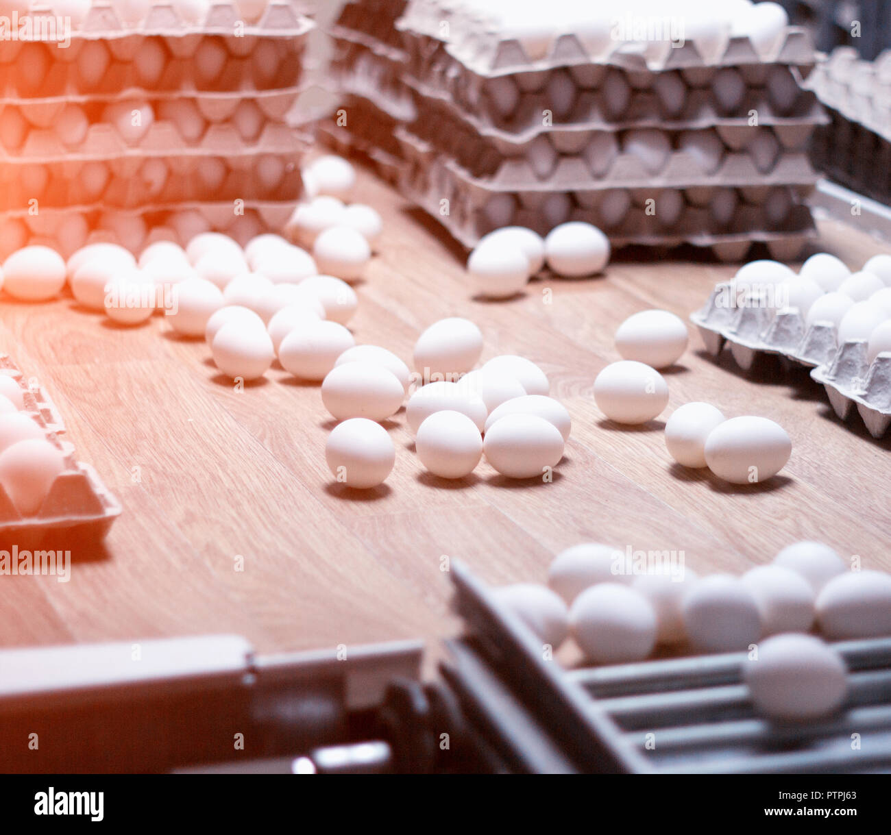 The production of chicken eggs, poultry, chicken eggs go through the ...