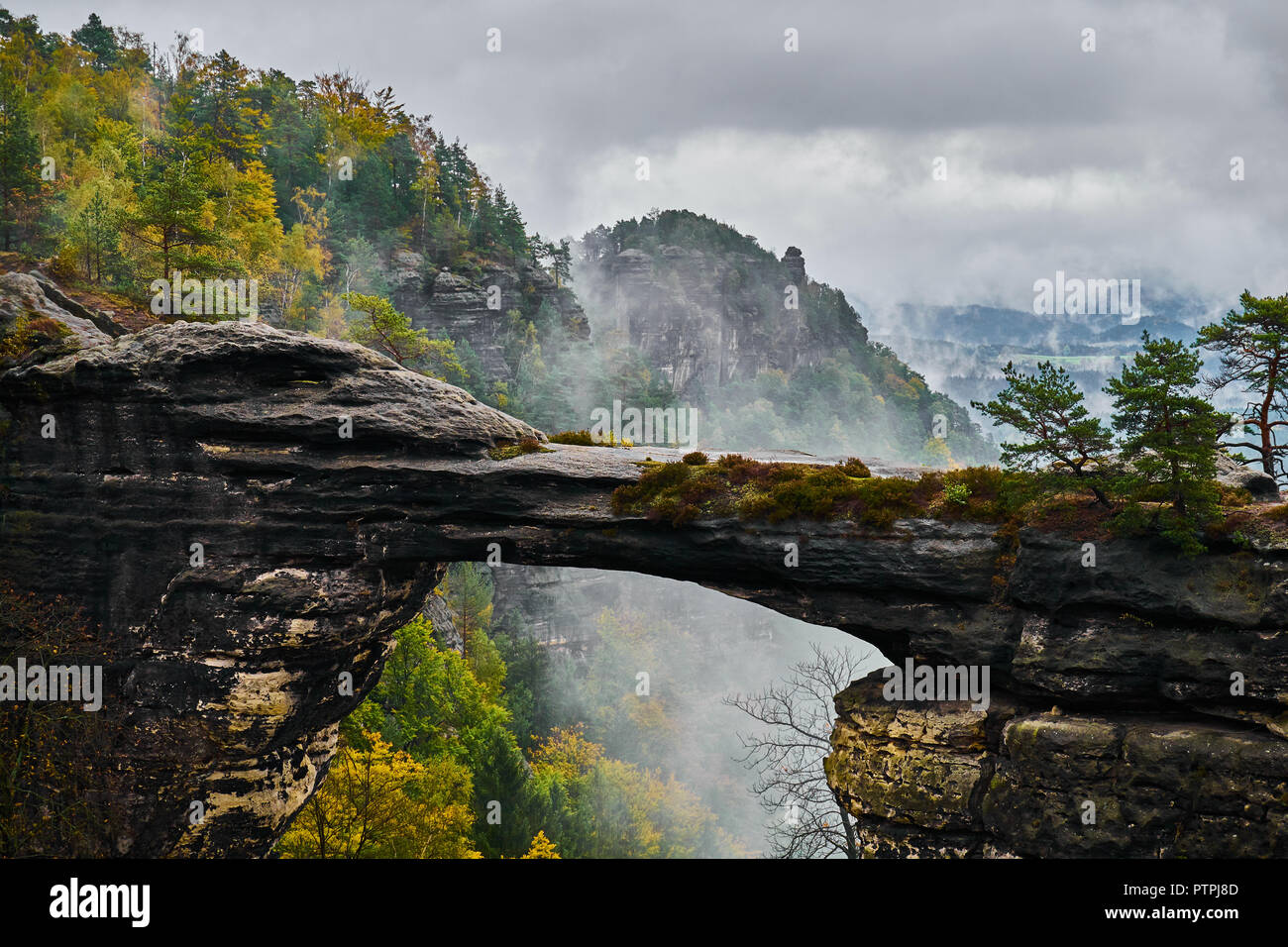 Misty foggy landscape of the Pravcicka gate (Pravcicka brana) the ...