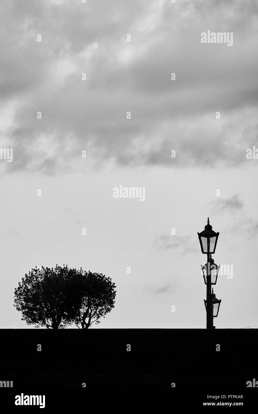Trees and lanterns in Dresden, Germany. Minimalism monochrome concept ...