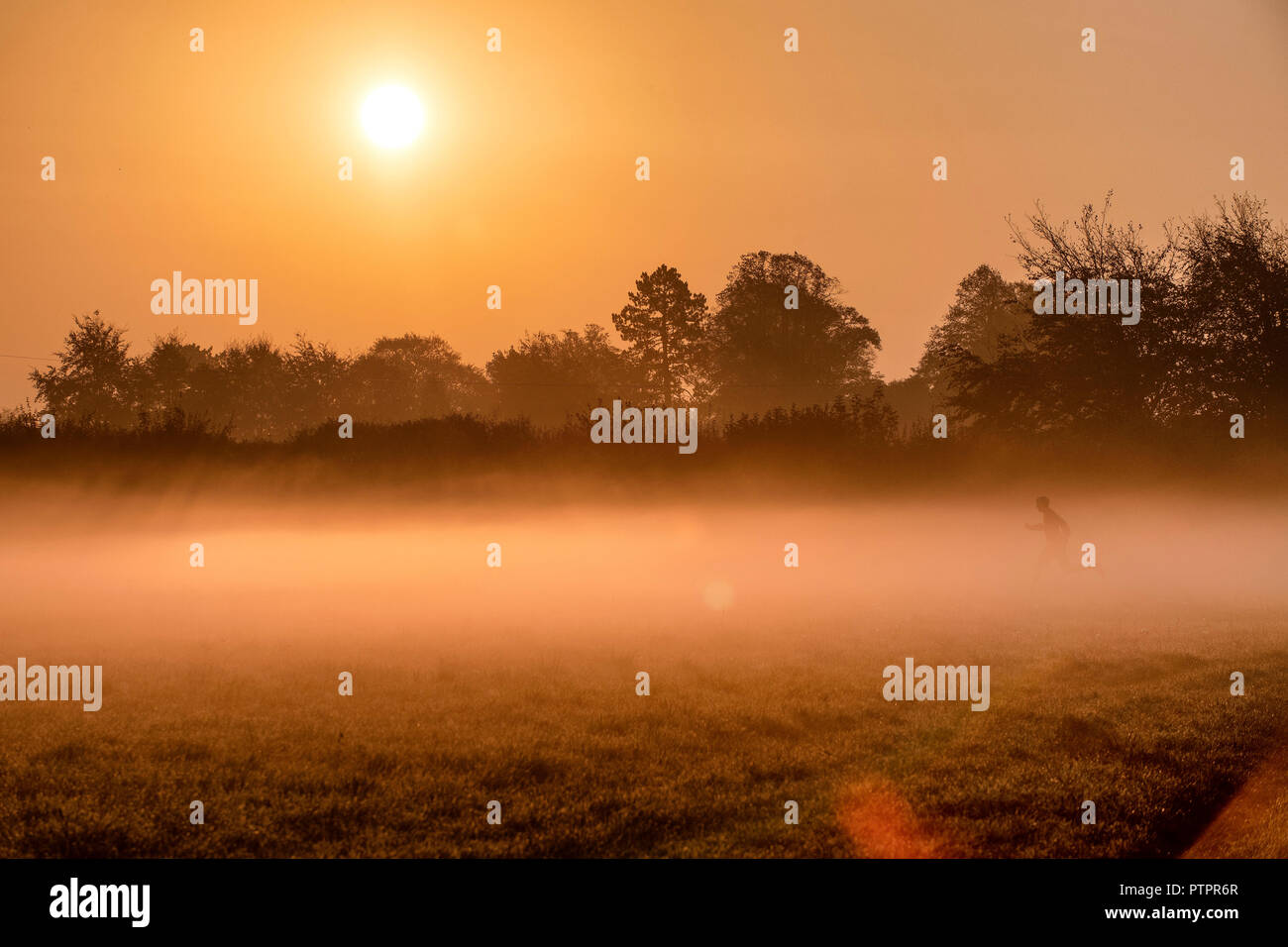 Lower wraxall hi-res stock photography and images - Alamy