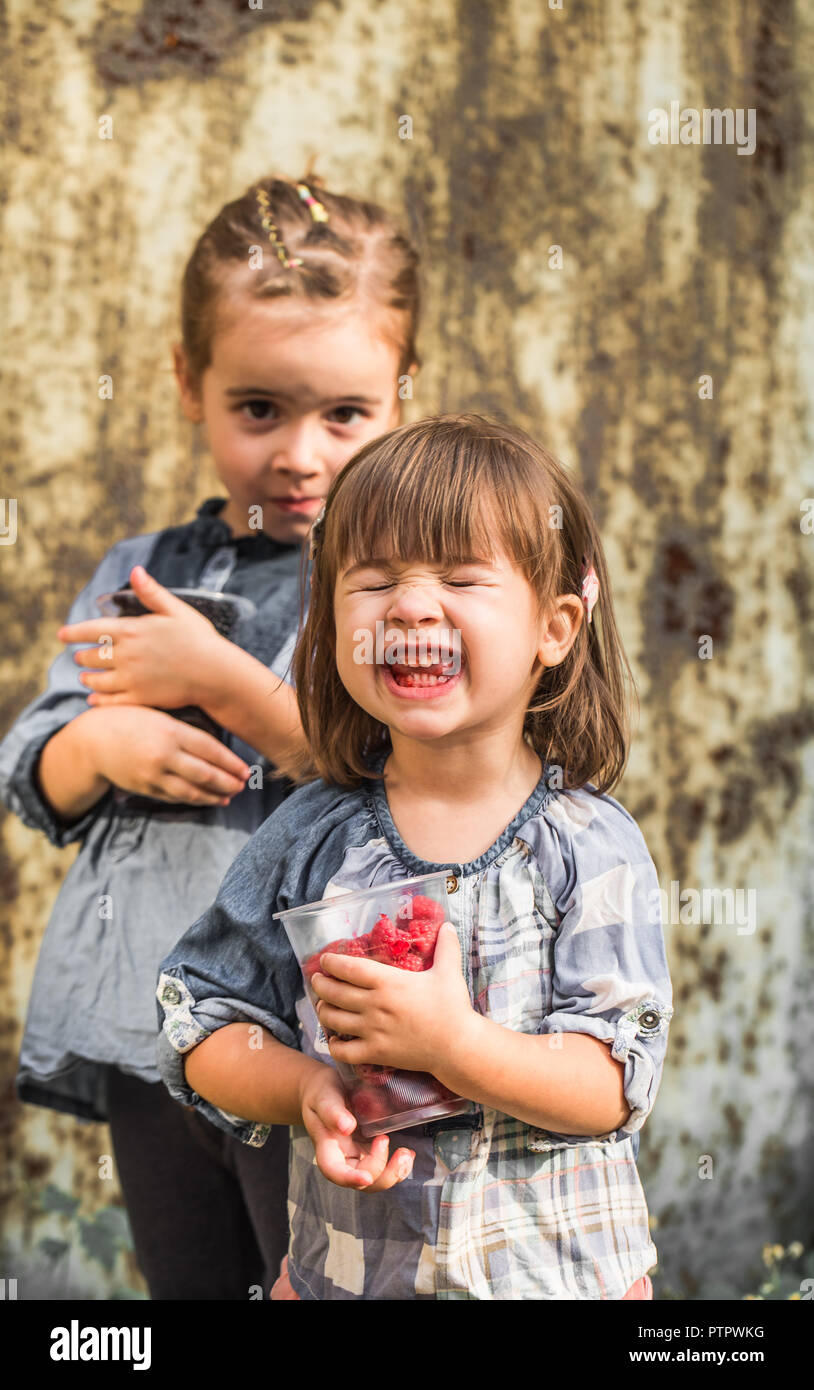 two cute girl eating fresh raspberries ,the concept of children's ...