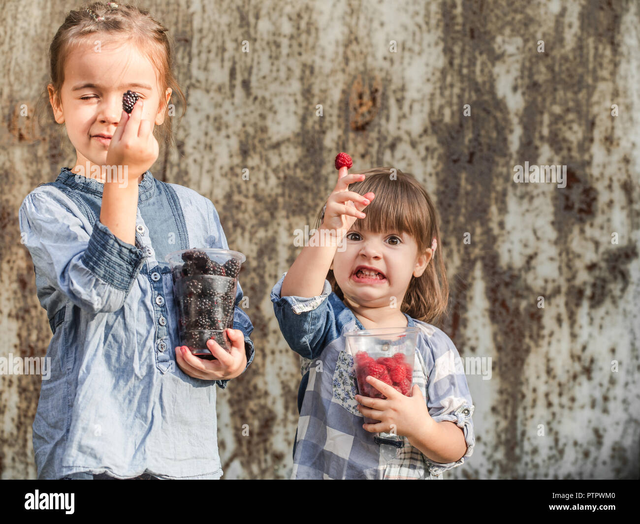 two cute girl eating fresh raspberries ,the concept of children's ...