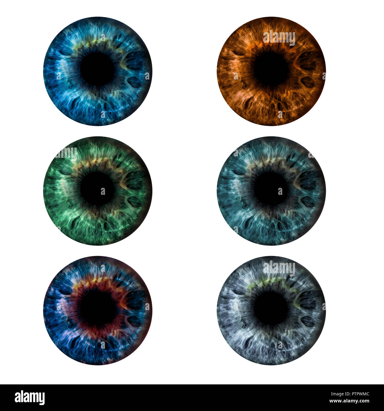 Eyes iris collage. Beautiful female eyes of different colors Stock ...