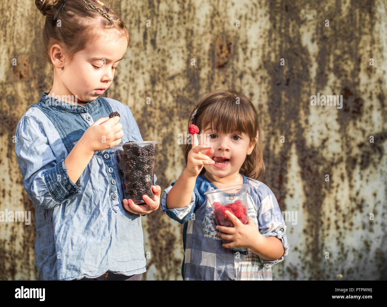 two cute girl eating fresh raspberries ,the concept of children's ...