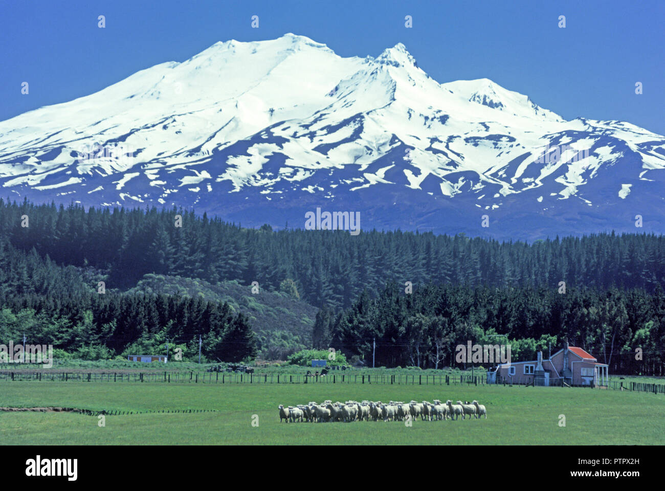 Ohakune new zealand hi-res stock photography and images - Alamy