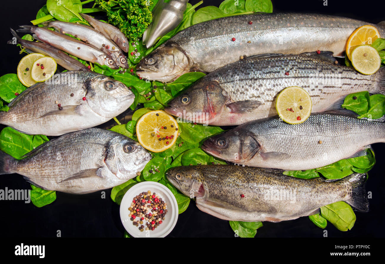 Different fish on a black background Stock Photo - Alamy