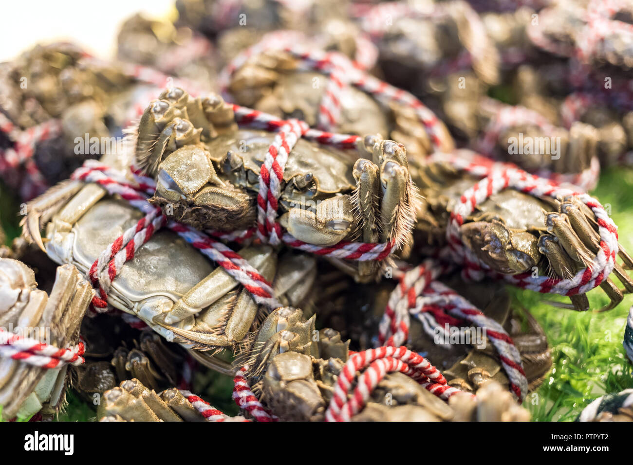 Hairy crab hi-res stock photography and images - Alamy