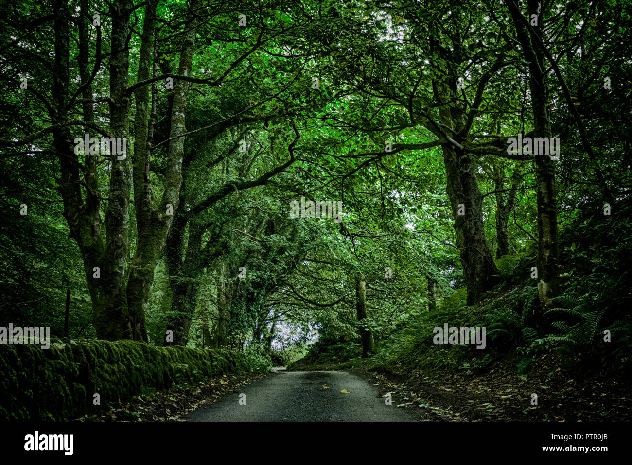 Haunted landscape, uk hi-res stock photography and images - Alamy