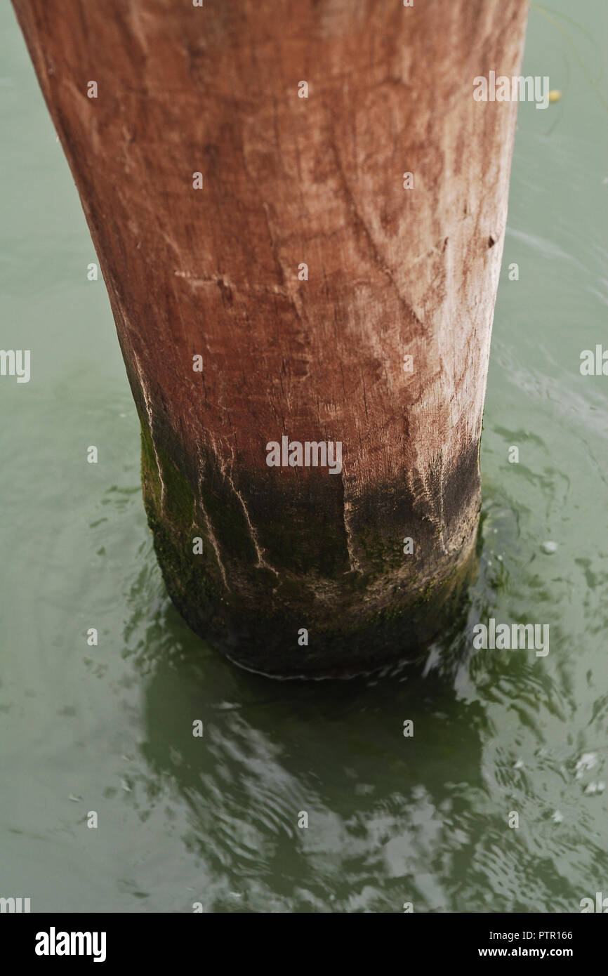 One of the famous poles on which Venice is built Stock Photo - Alamy