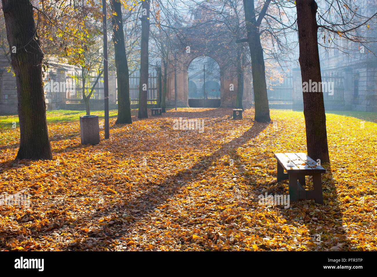 Autumn colonade with a gateway and yellow blades Stock Photo - Alamy