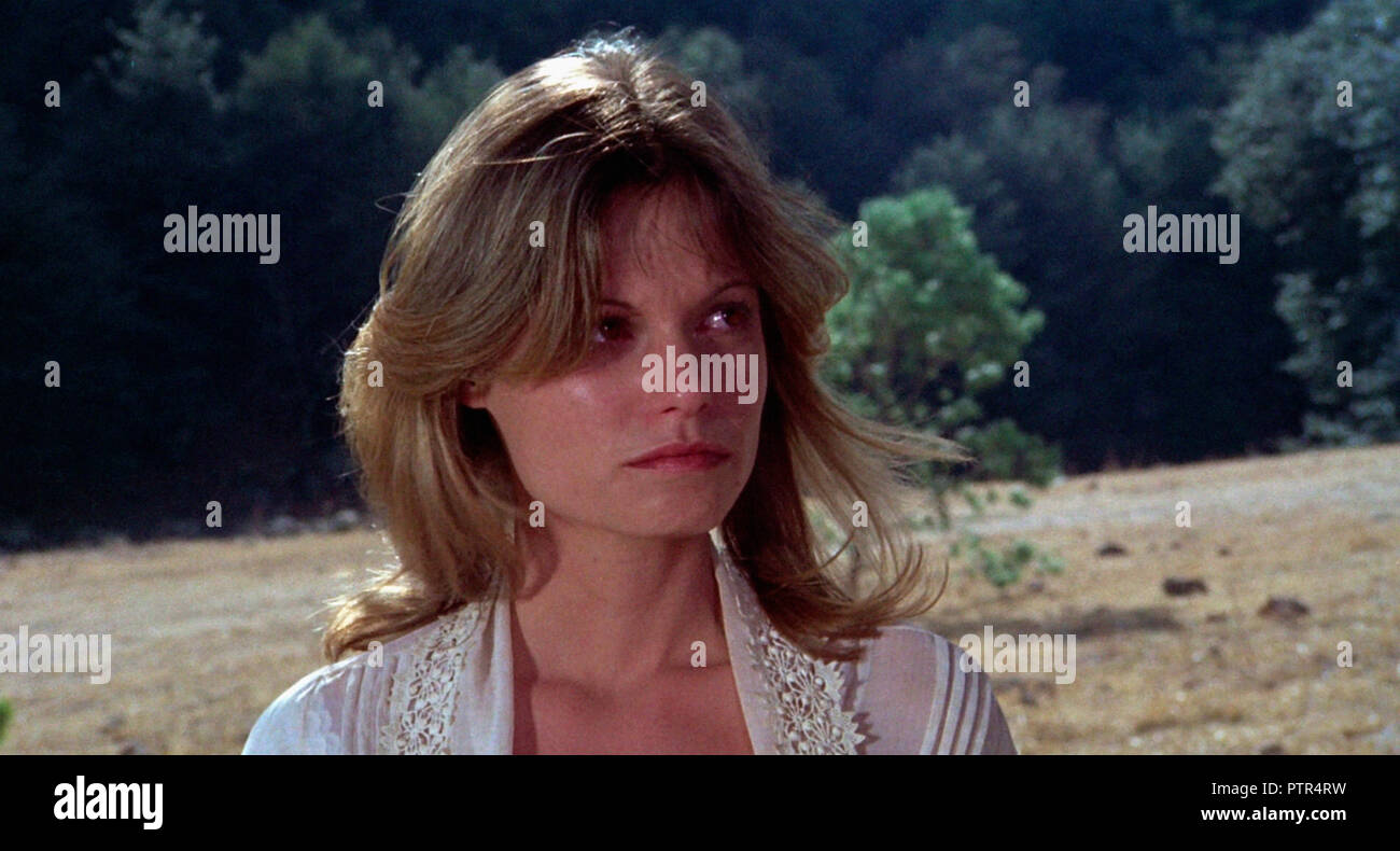 Cathouse Stock Photos & Cathouse Stock Images - Alamy