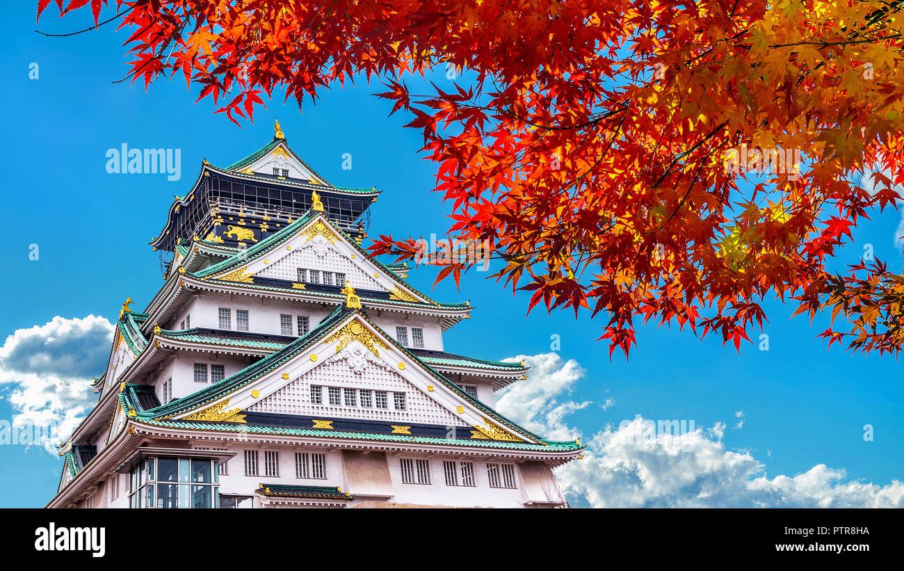 Autumn Season and Osaka castle in Japan Stock Photo - Alamy