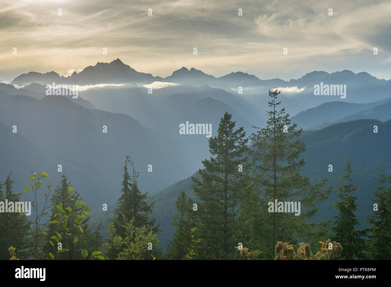 Olympic summit hi-res stock photography and images - Alamy