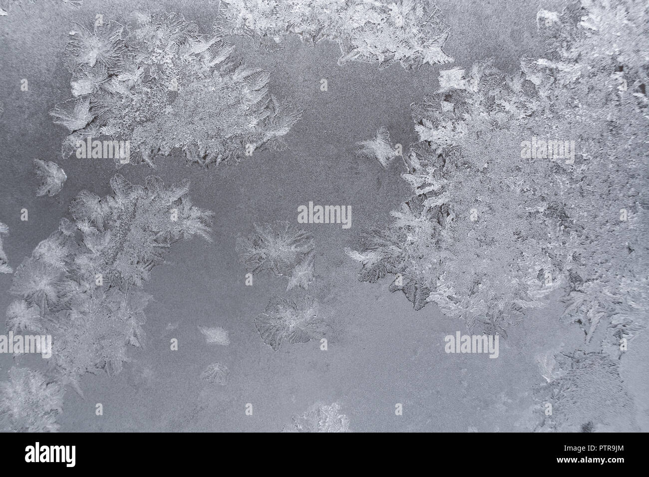 Gentle translucent winter pattern at window glass Stock Photo - Alamy