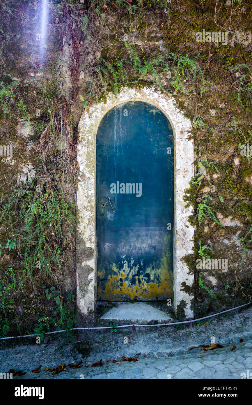 Moss covered door hi-res stock photography and images - Alamy