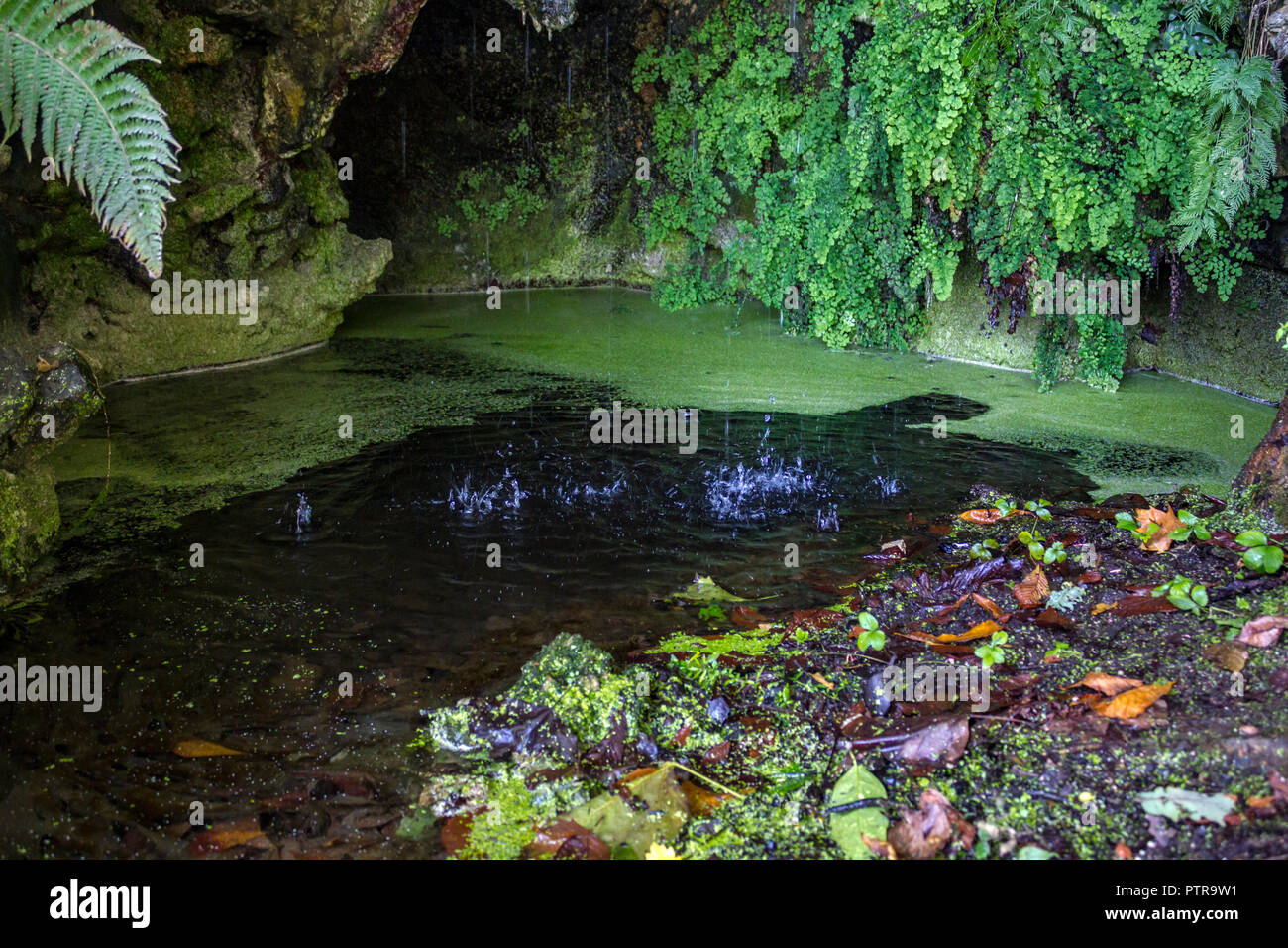 Drops waterfall falling down from hi-res stock photography and images ...