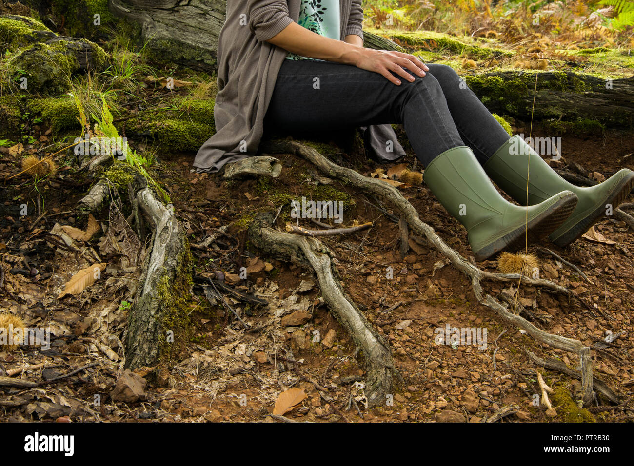 Crop view of young adult woman sitting on the tree's roots in the woods ...