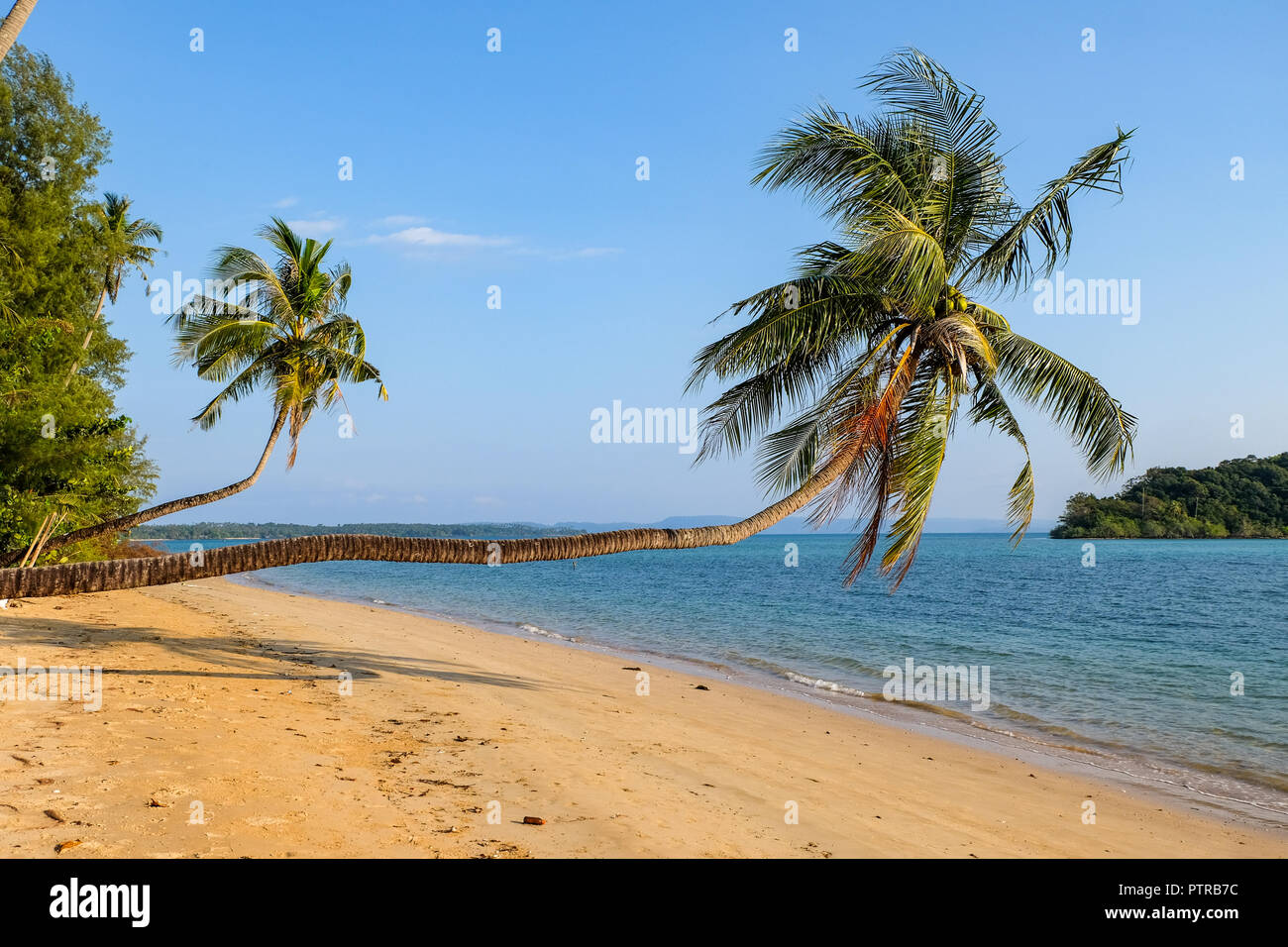 Growing horizontally hi-res stock photography and images - Alamy