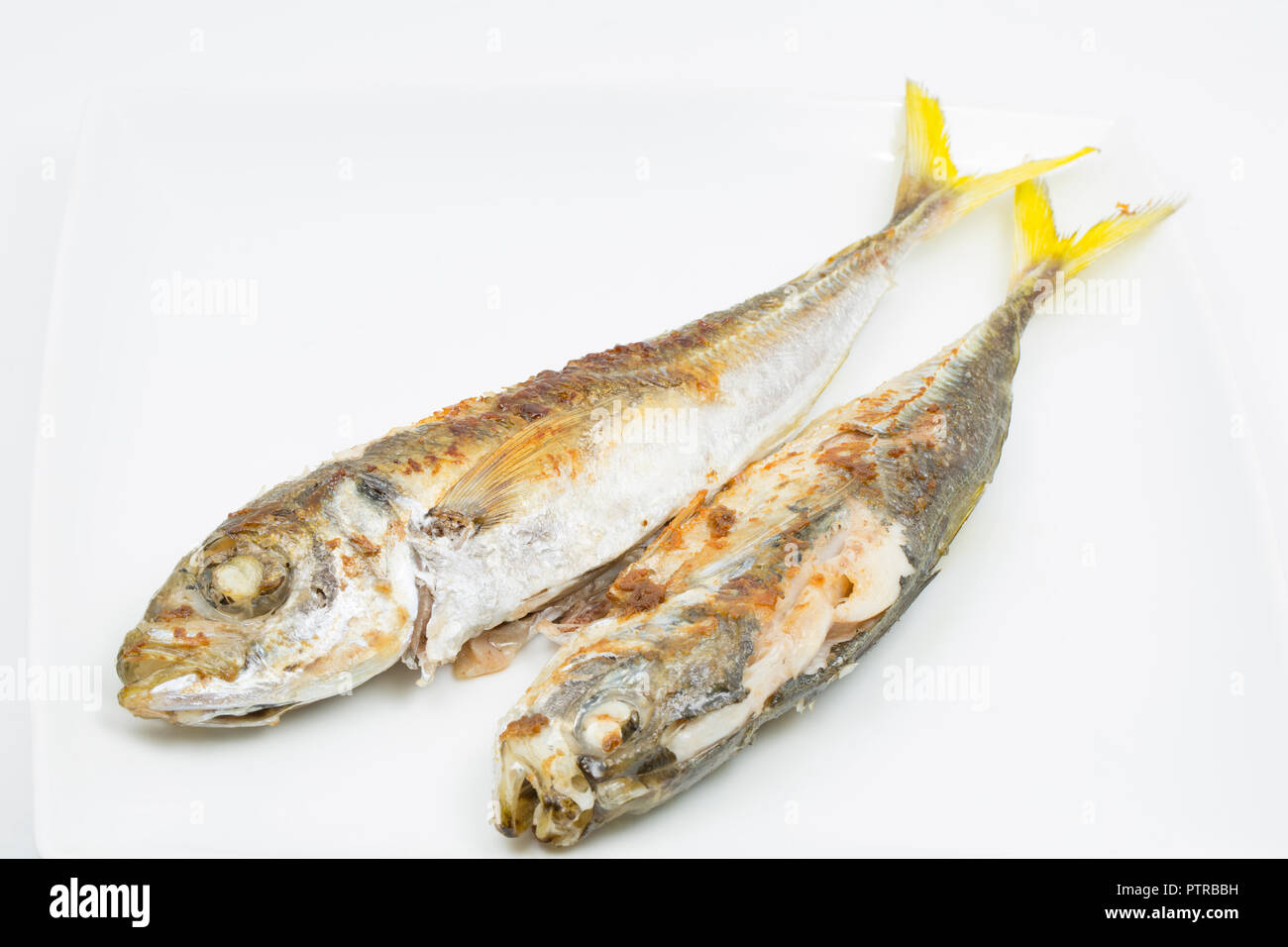 A pair of scad, also known as horse mackerel, Trachurus trachurus, that ...