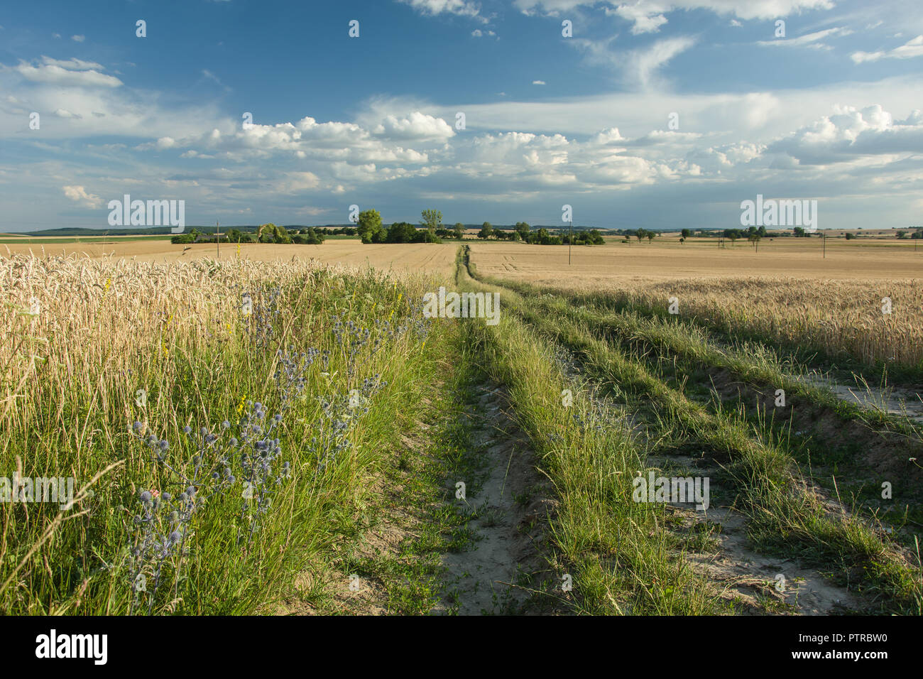 Country road fields panorama hi-res stock photography and images - Alamy