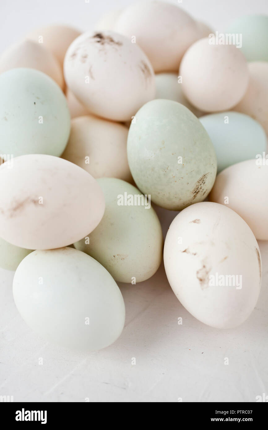 Natural egg colors hi-res stock photography and images - Alamy