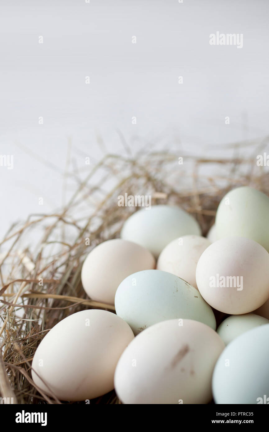Multiple eggs hi-res stock photography and images - Alamy