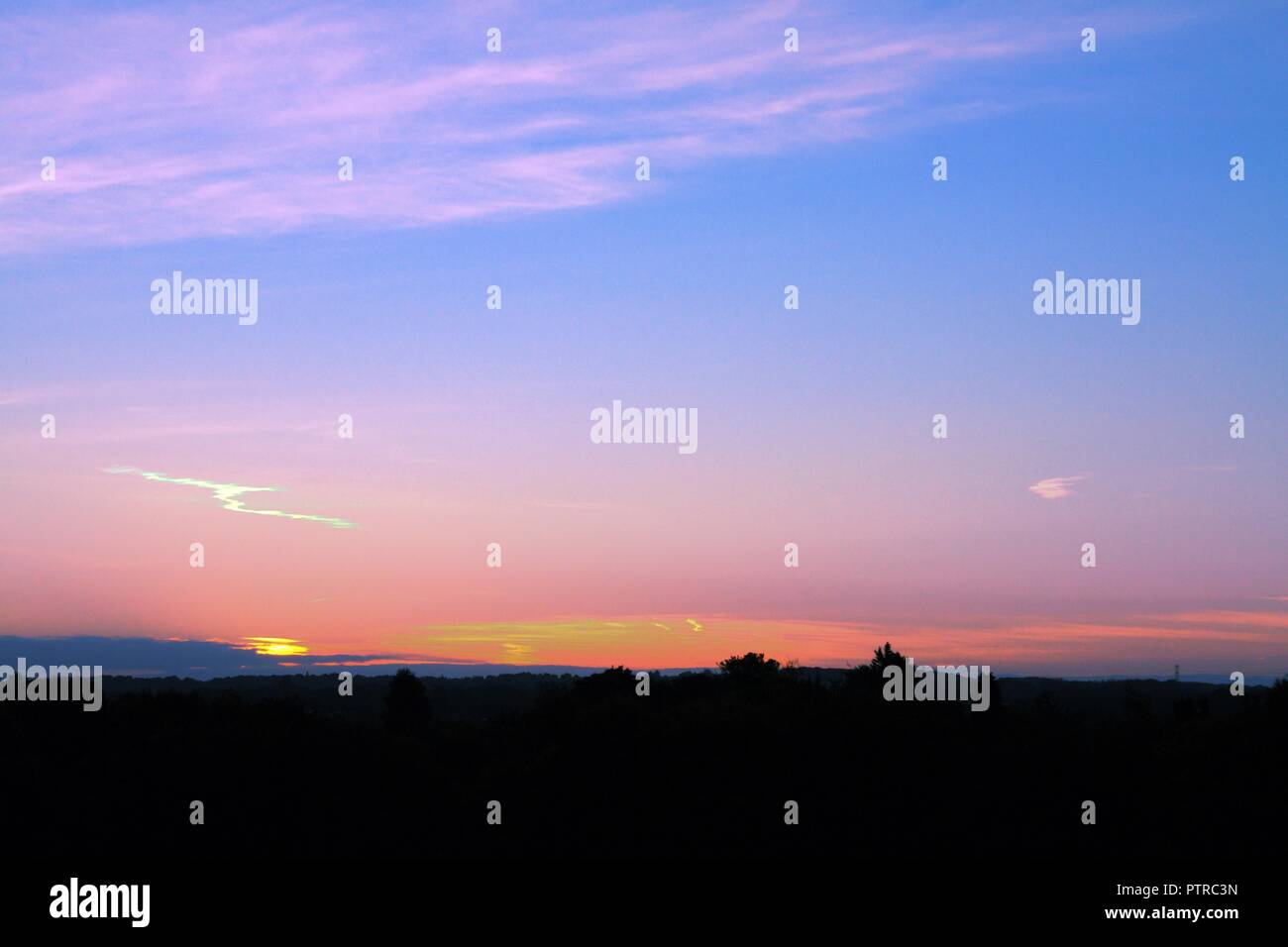 Sun Rising over silhouetted tree lined horizon Stock Photo - Alamy