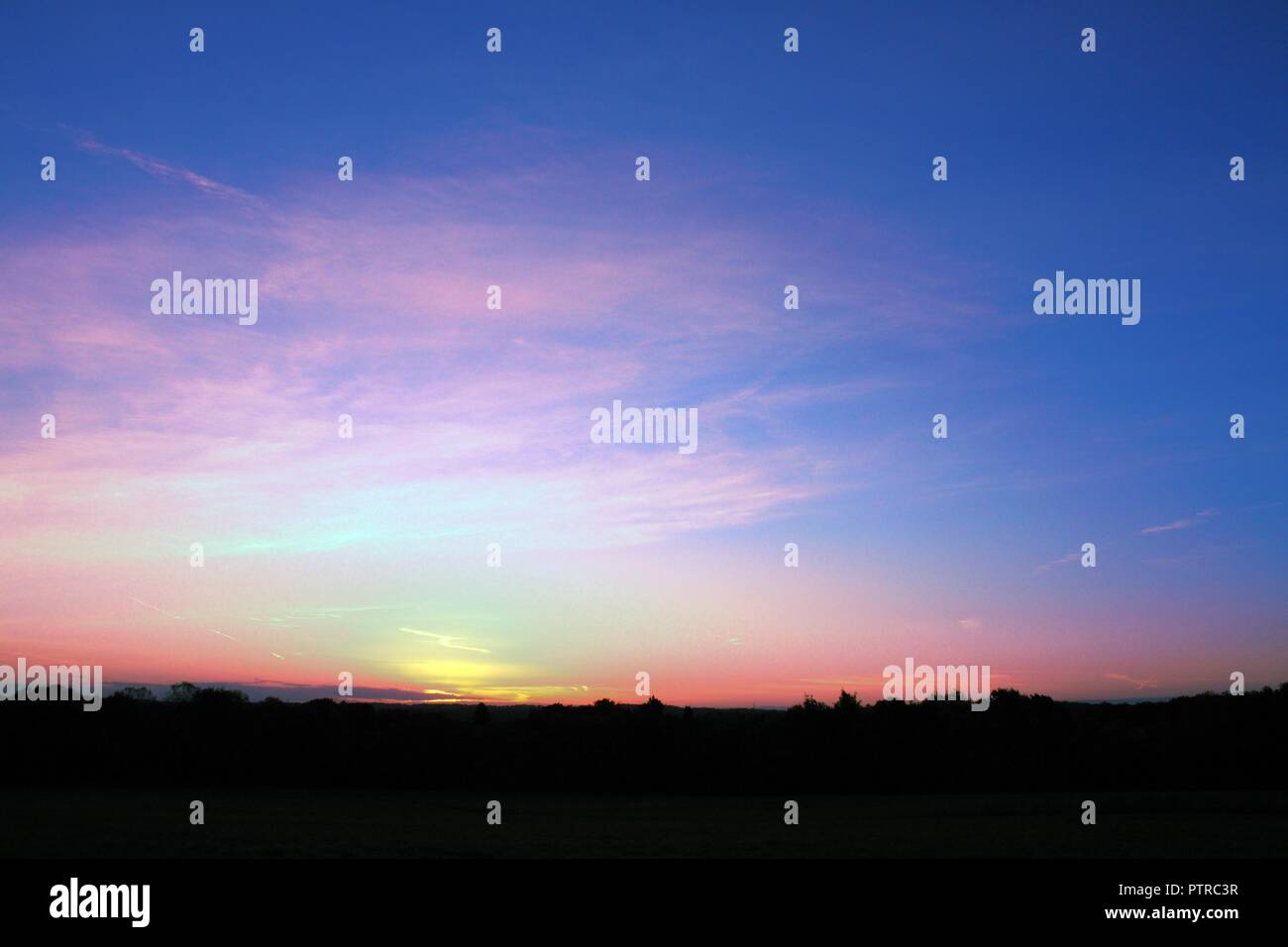 Sun Rising over silhouetted tree lined horizon Stock Photo - Alamy