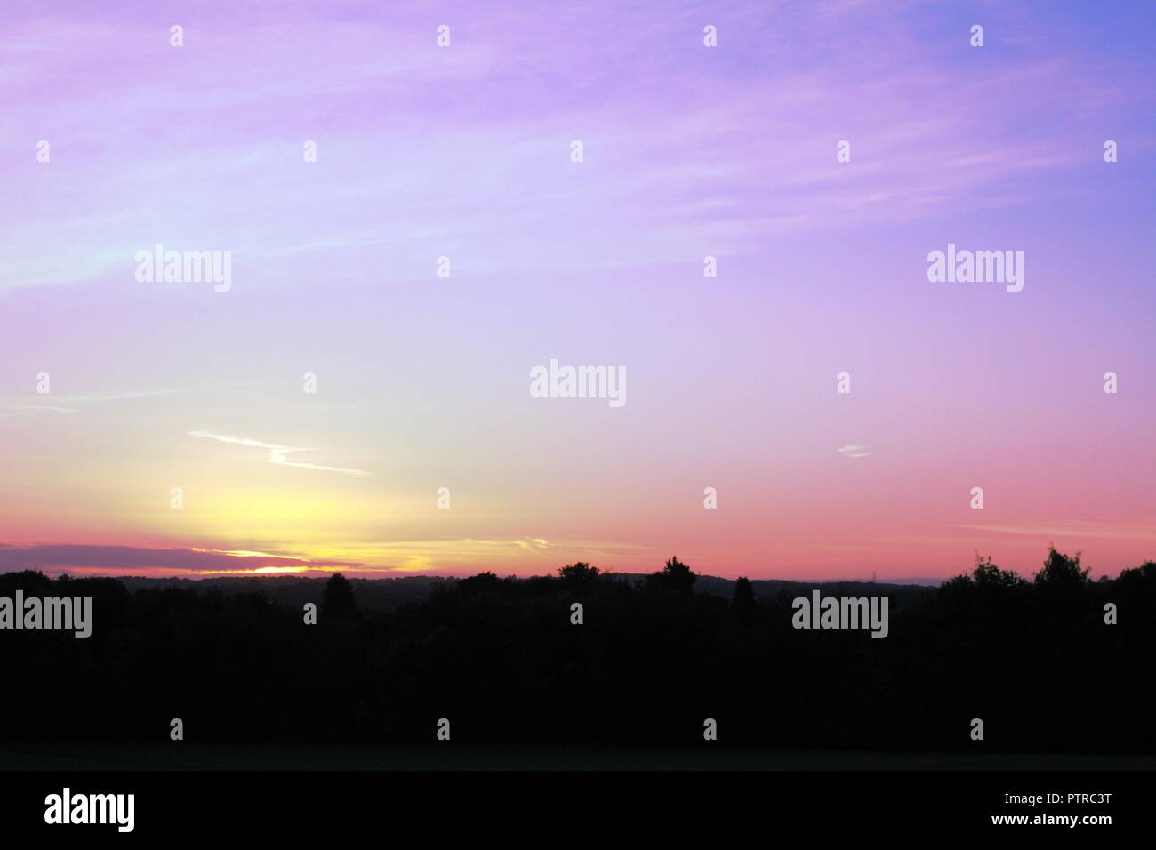 Sun Rising over silhouetted tree lined horizon Stock Photo - Alamy