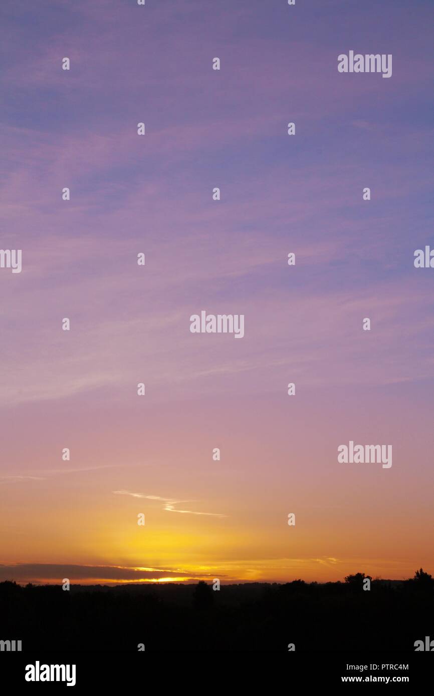 Sun Rising over silhouetted tree lined horizon Stock Photo - Alamy