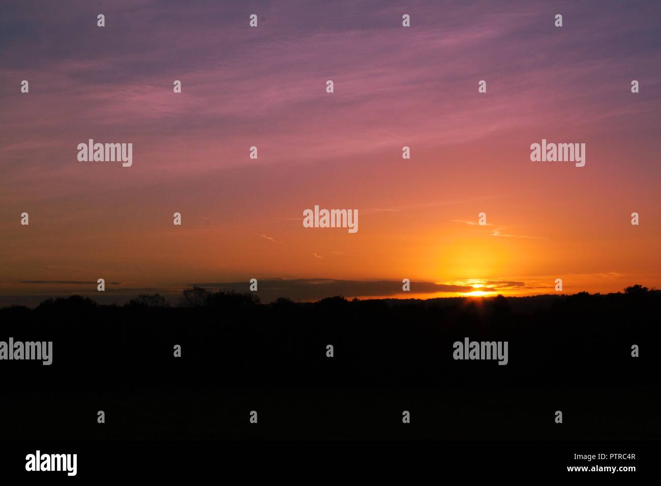 Sun Rising over silhouetted tree lined horizon Stock Photo - Alamy