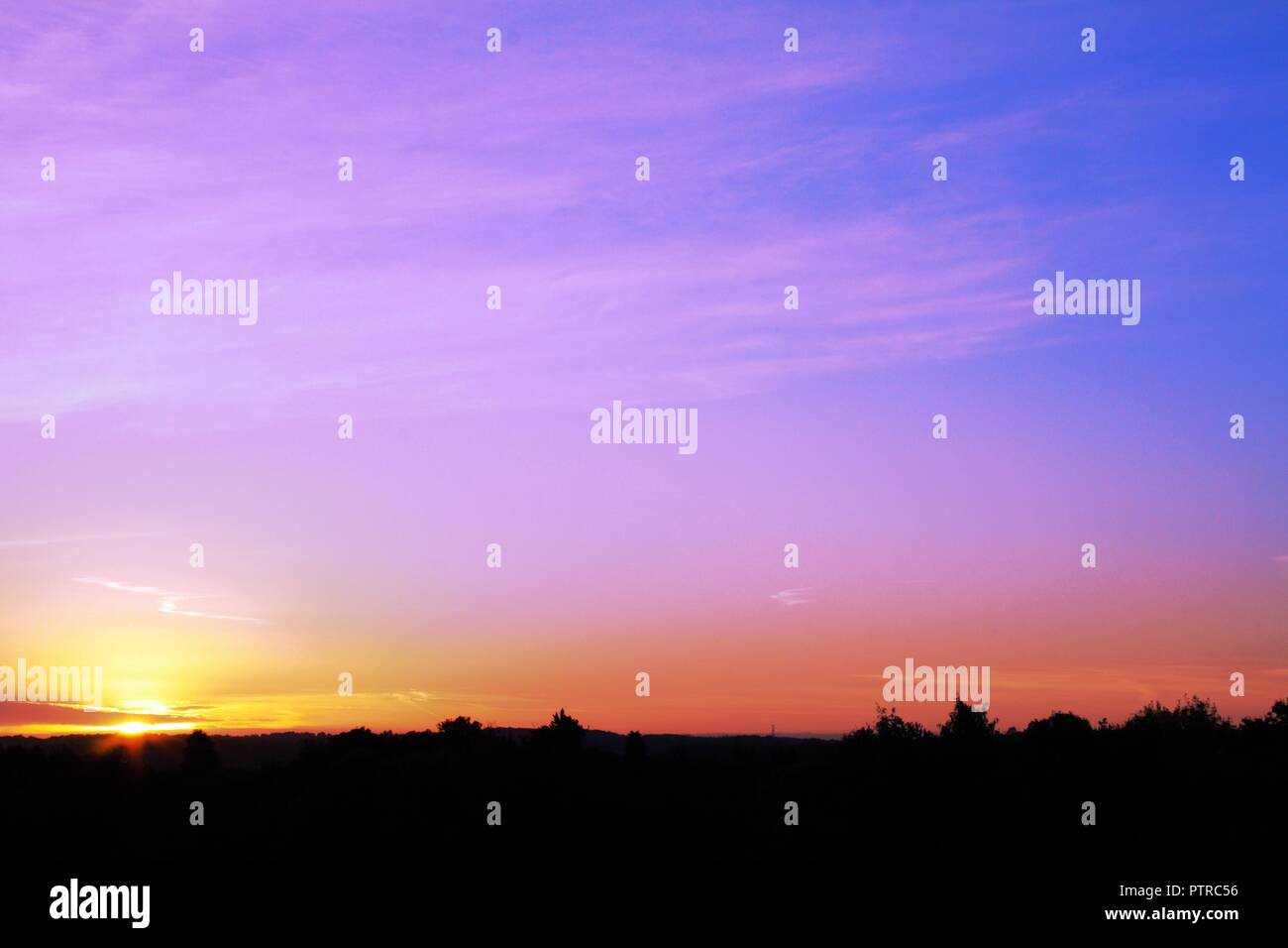 Sun Rising over silhouetted tree lined horizon Stock Photo - Alamy