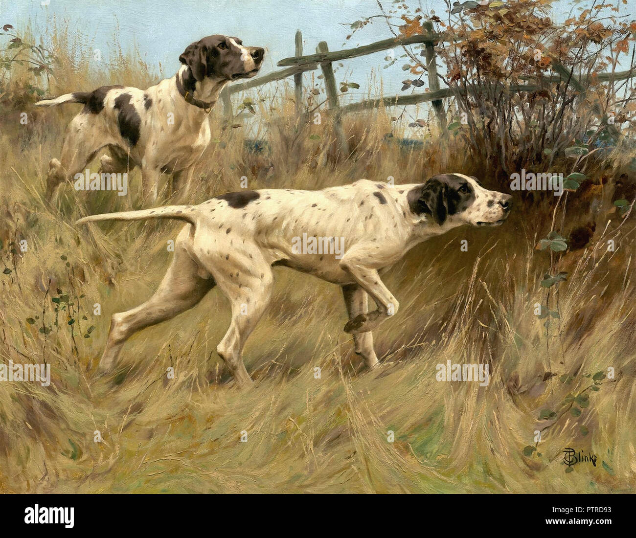 English pointers hi-res stock photography and images - Alamy