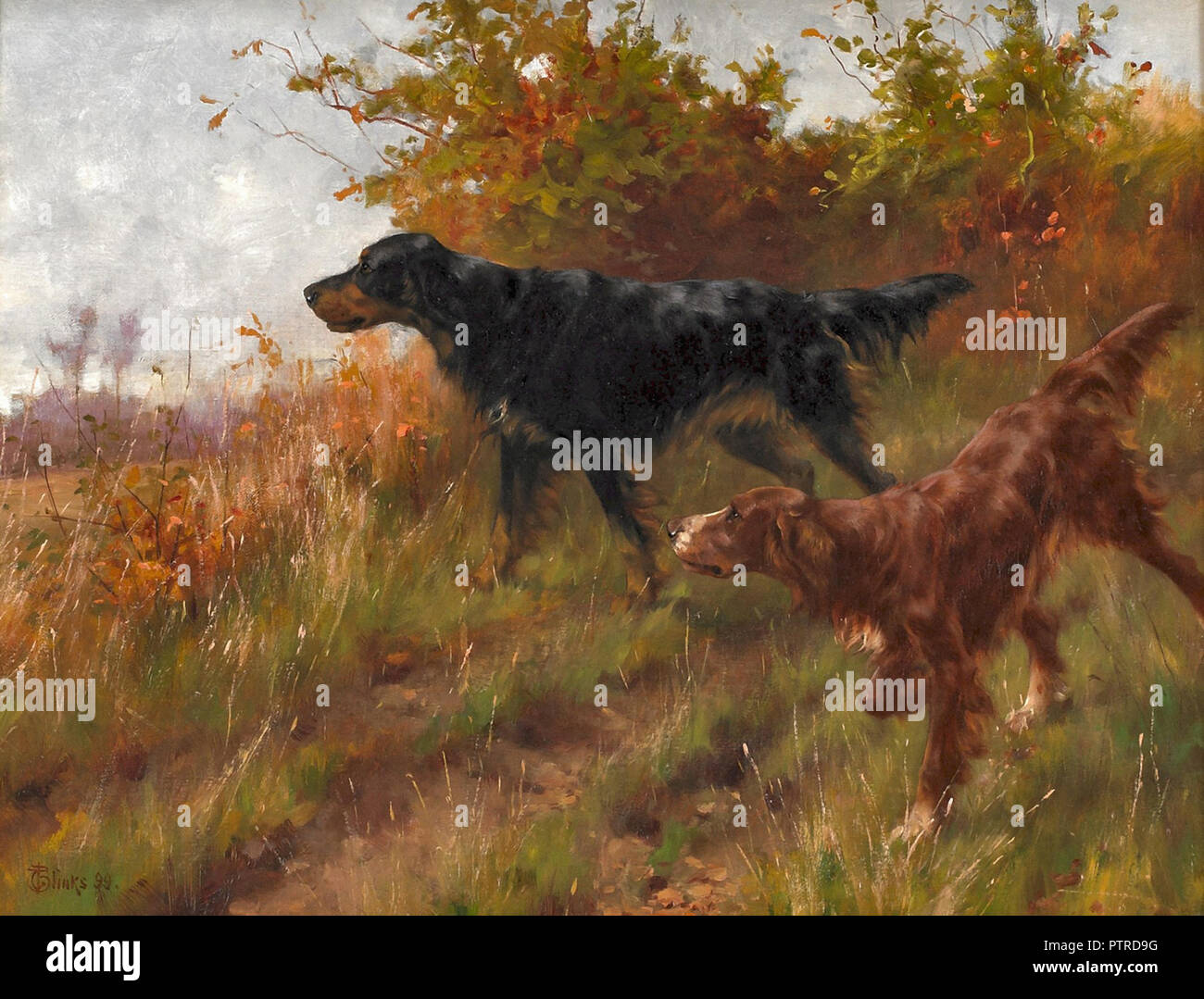 Point setters hi-res stock photography and images - Alamy