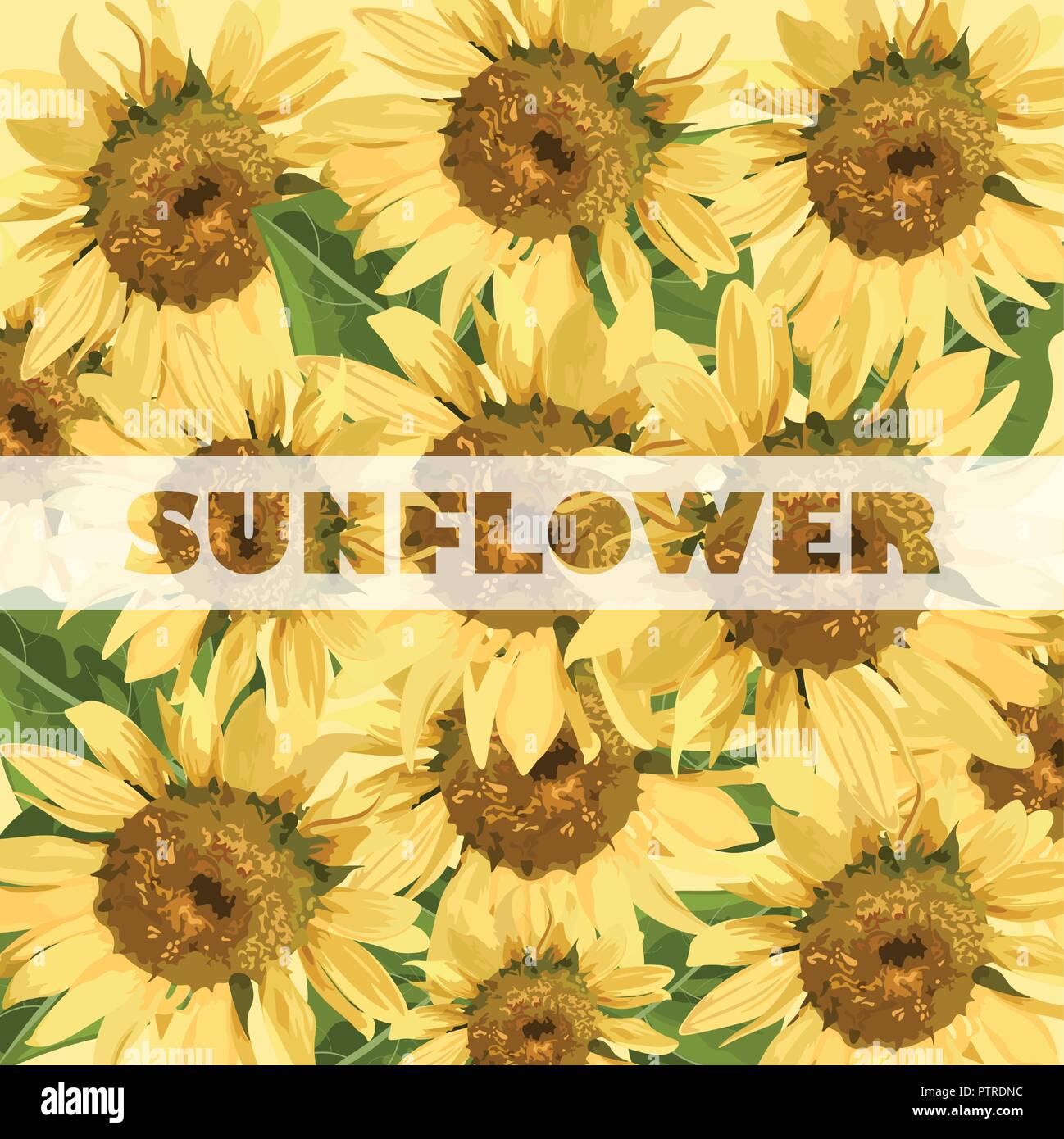 Sunflowers pattern Vector. Summer background beautiful card Stock ...
