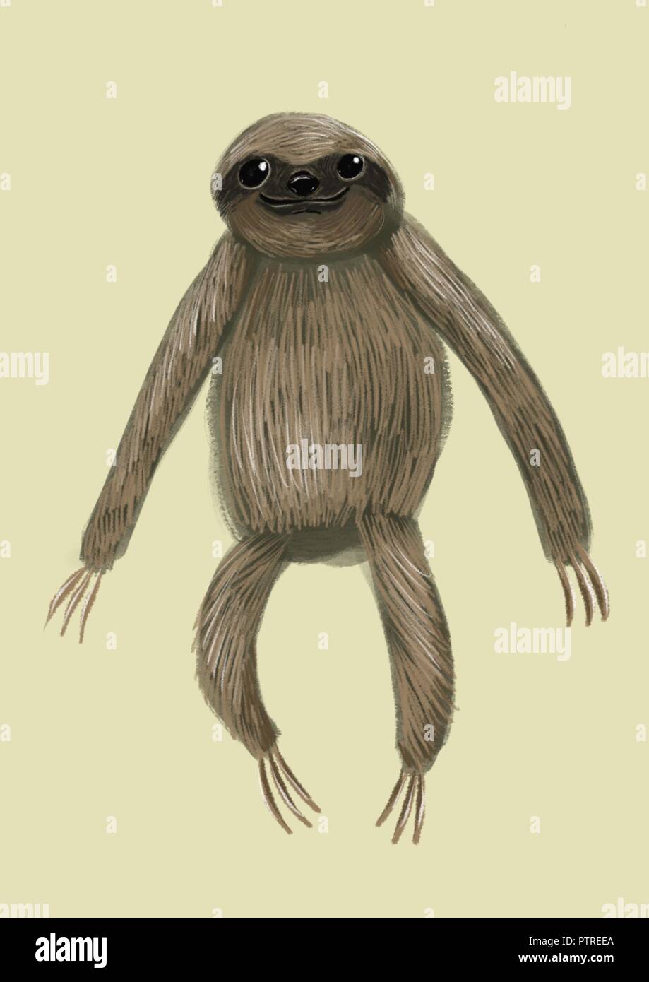 Sloth illustration hi-res stock photography and images - Alamy