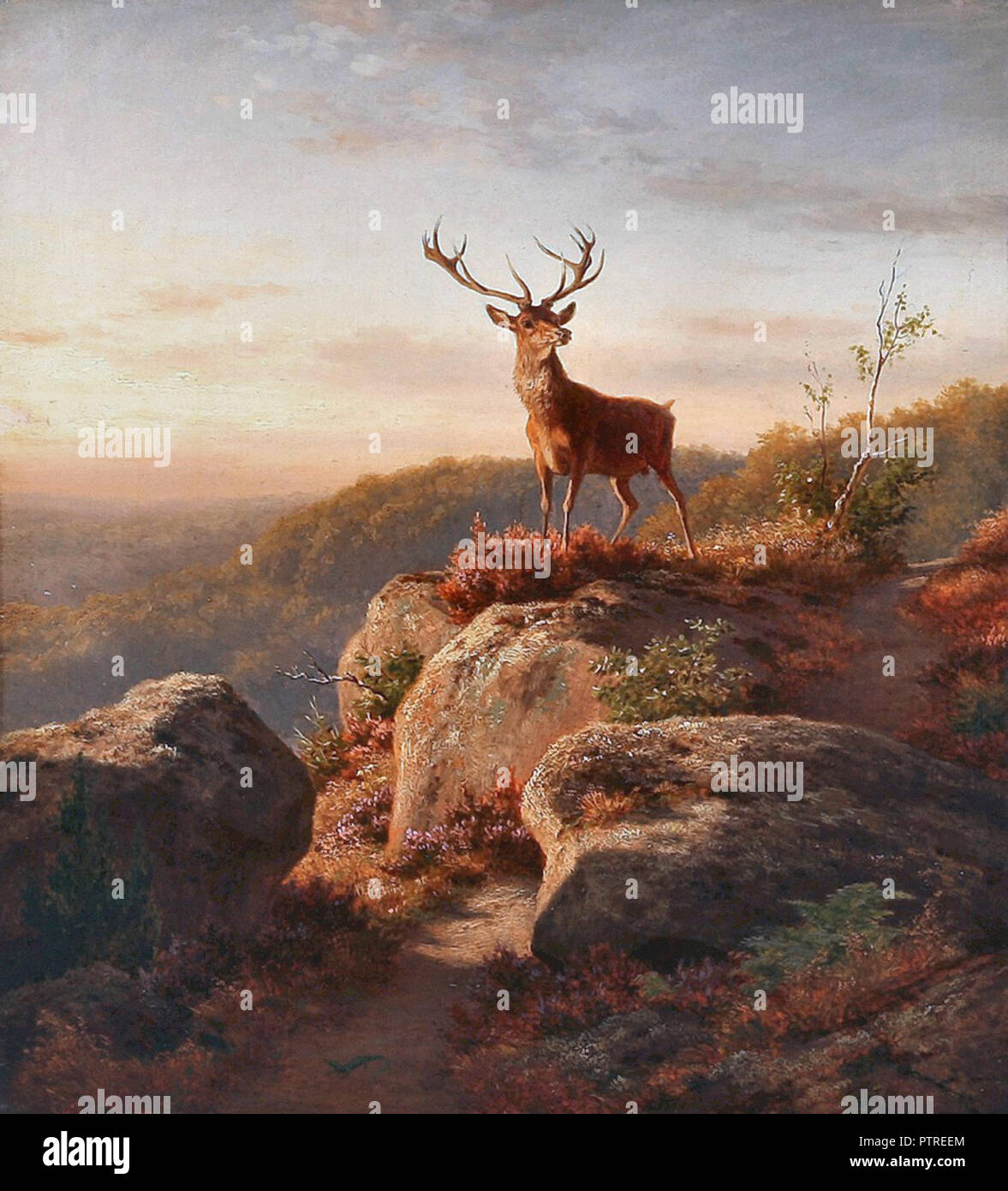 Stag painting hi-res stock photography and images - Alamy