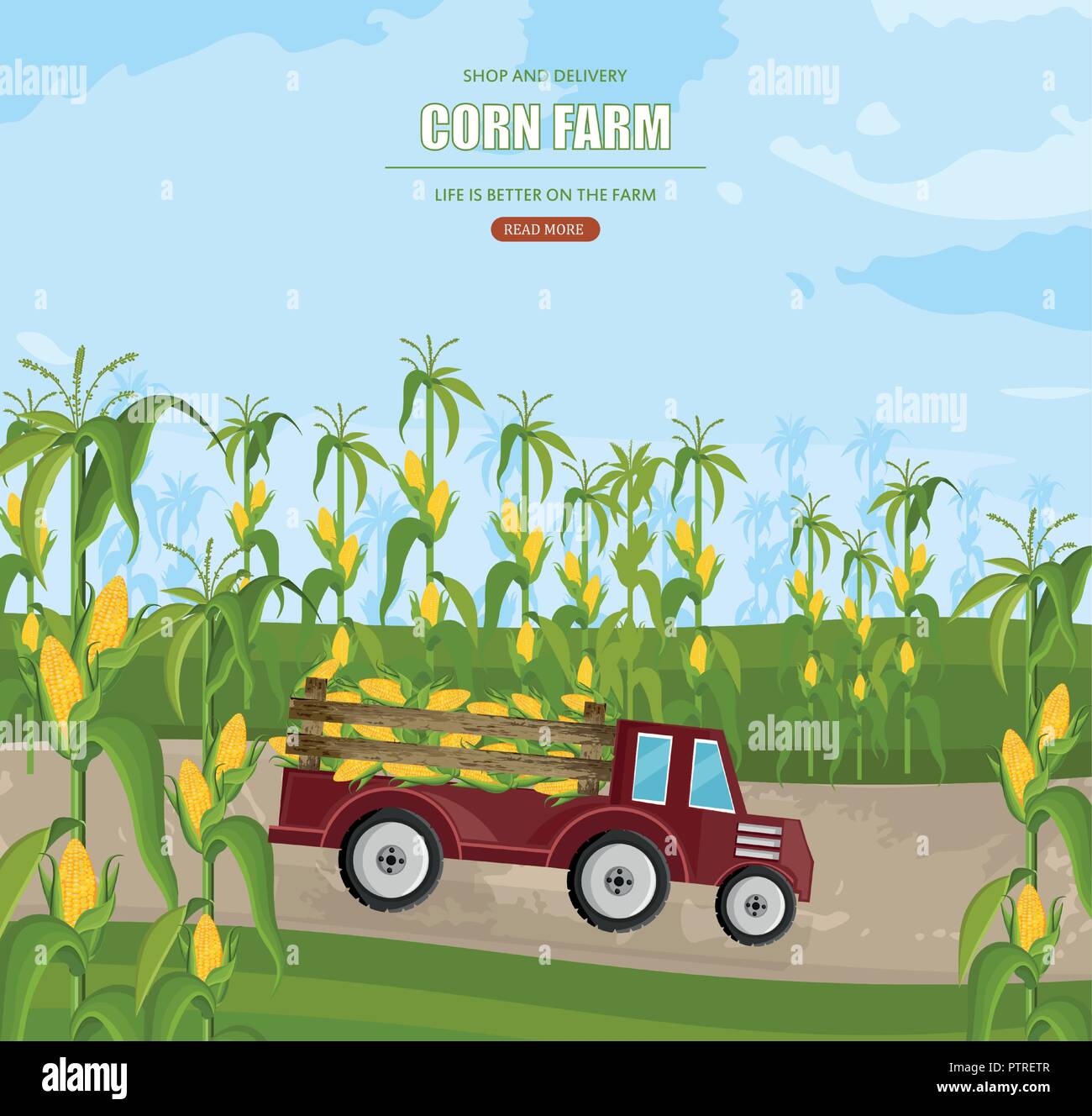 Truck with corn harvest Vector. Maize fields autumn season illustration ...