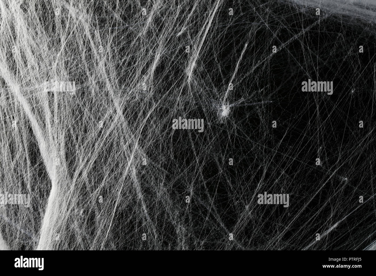 Halloween creepy cobweb spiders web with a black background Stock Photo ...