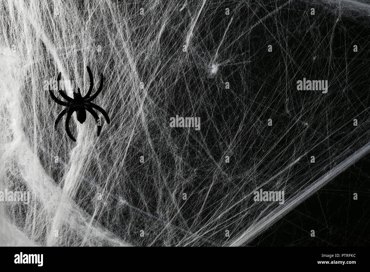 Halloween creepy cobweb spiders web with a black background Stock Photo ...
