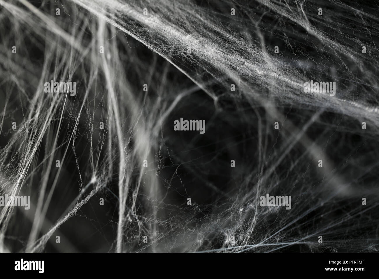 Halloween creepy cobweb spiders web with a black background Stock Photo ...