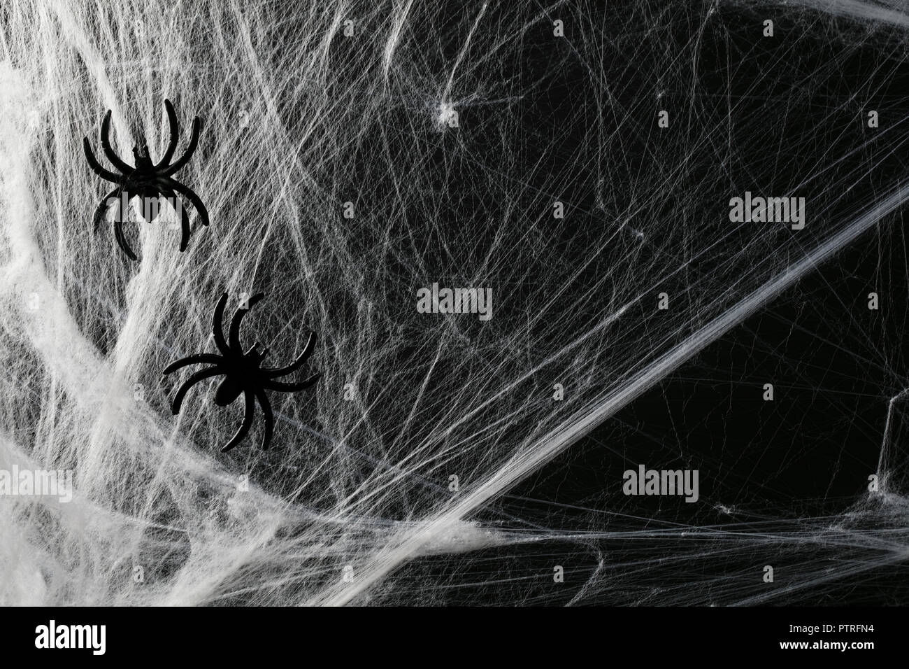 Halloween creepy cobweb spiders web with a black background Stock Photo ...