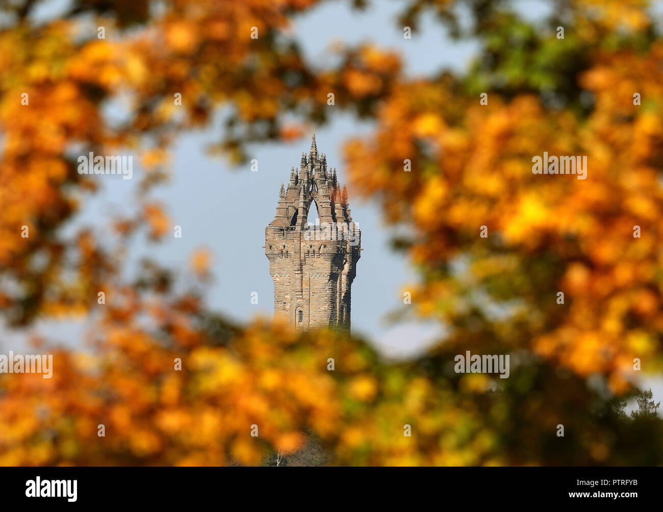 The Wallace Monument in Stirling seen through Autumn leaves Stock Photo ...