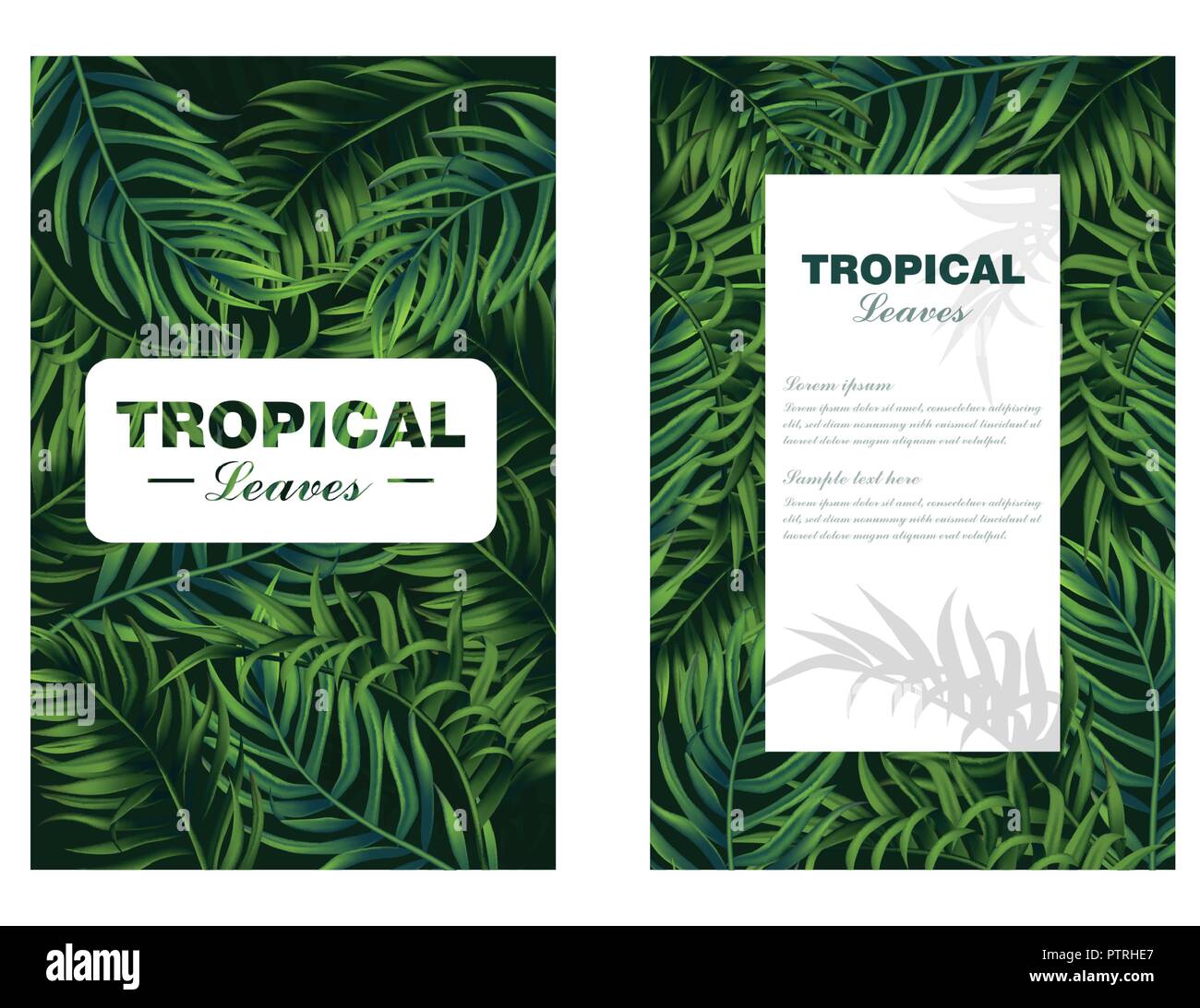 Tropic leaves card Vector realistic. detailed 3d exotic palm leaf decor ...