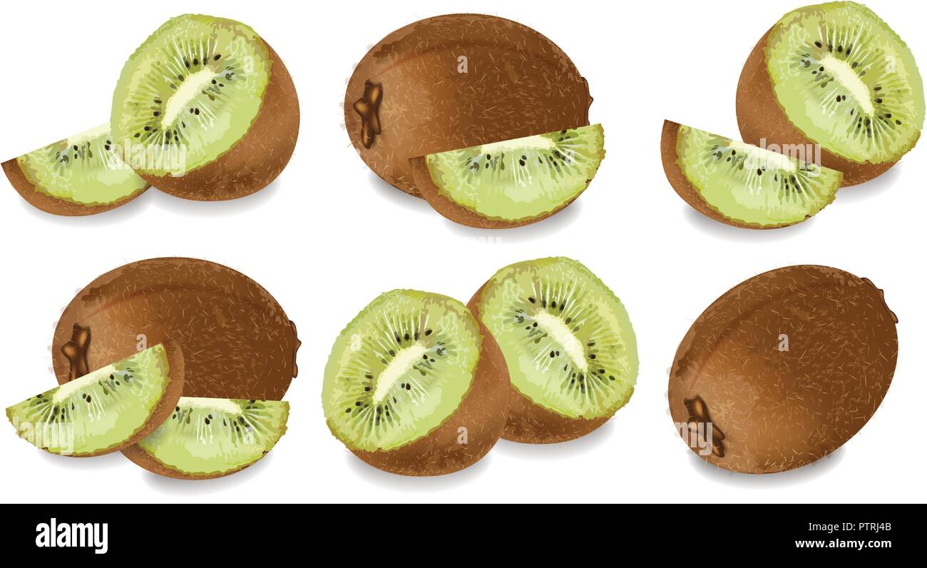 Kiwi set Vector realistic isolated on white background Stock Vector ...