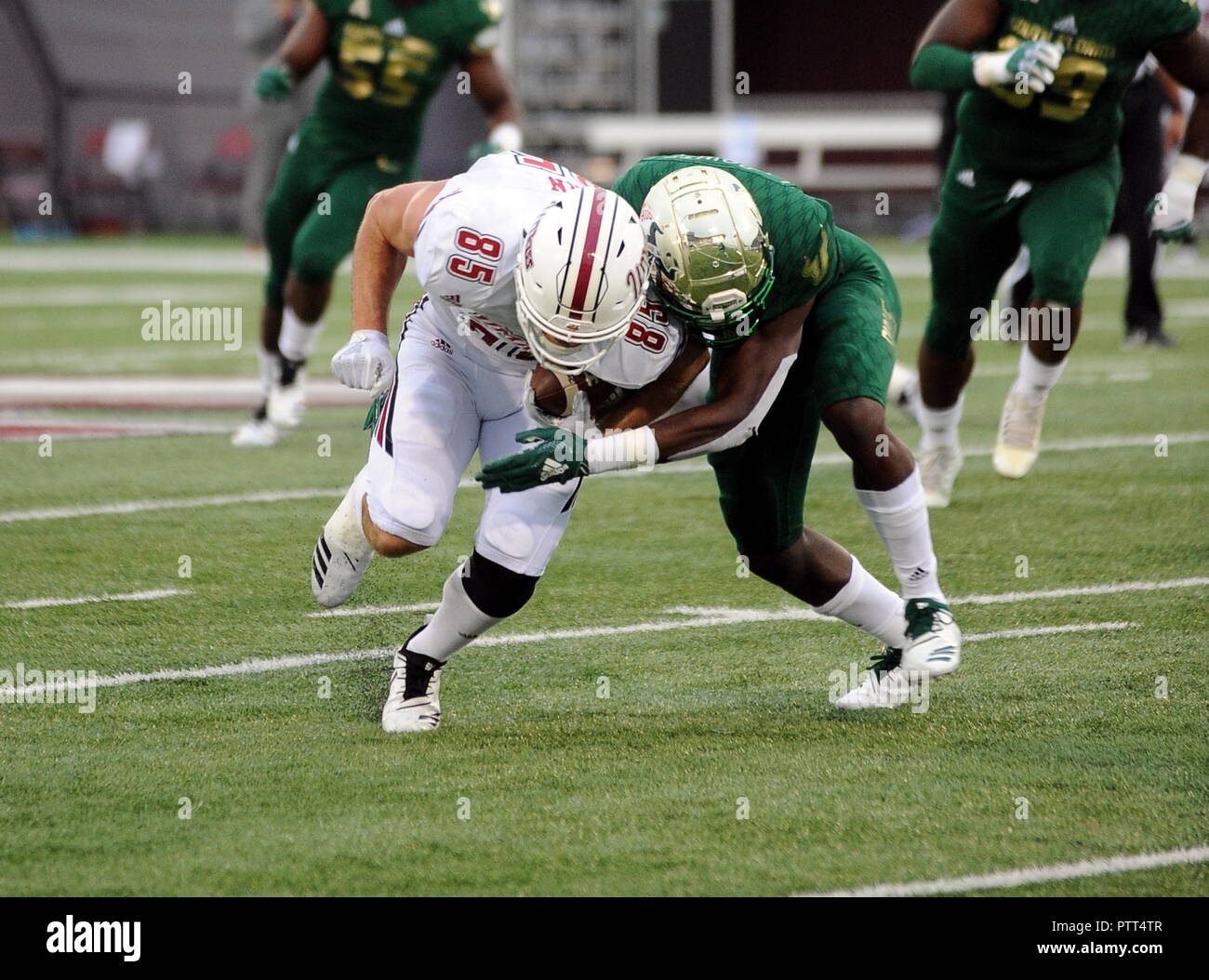 Oct 6, 2018; Amherst, MA, USA; Minuteman tight end Kyle Horn (85) is ...