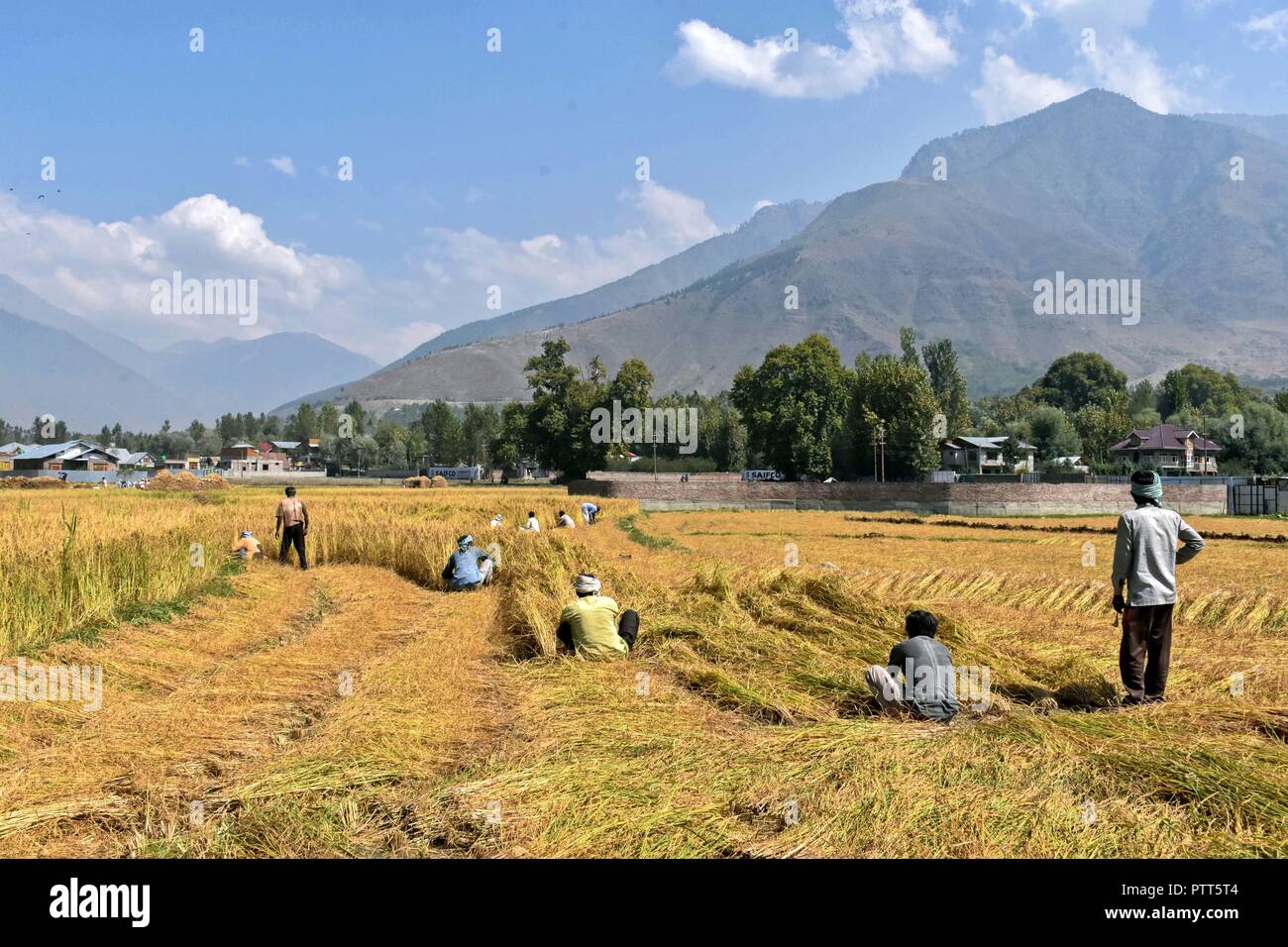 Pre 6 of 10 jpg hi-res stock photography and images - Alamy