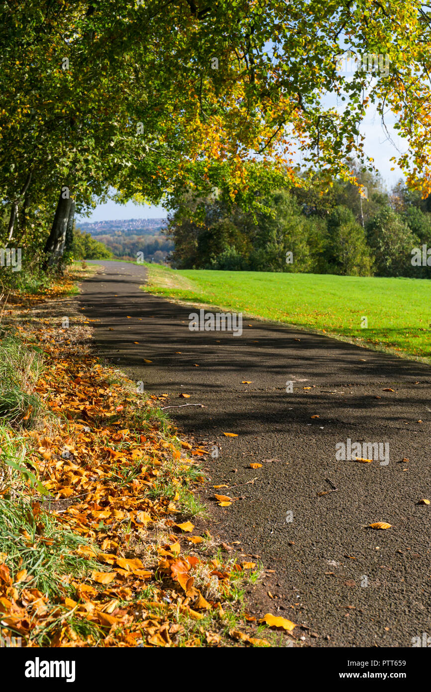 News colours hi-res stock photography and images - Alamy
