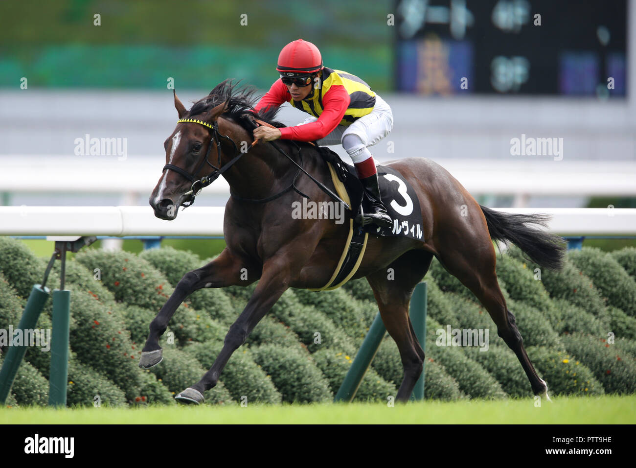 Kyoto, Japan. 7th Oct, 2018. Pourville (Suguru Hamanaka) Horse Racing ...