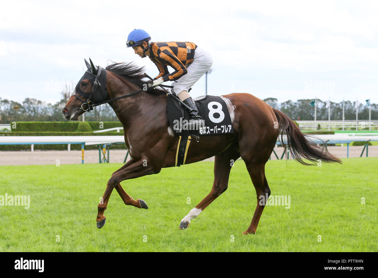 Kyoto, Japan. 7th Oct, 2018. Mozu Superflare (Yuichi Kitamura) Horse ...